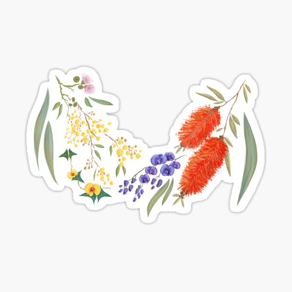 "Australian Spring Wildflowers" Sticker for Sale by duiganmussared ...