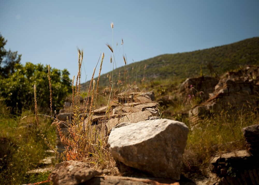 "Ancient Grass - Ephesus, Turkey" by Ben Prewett | Redbubble
