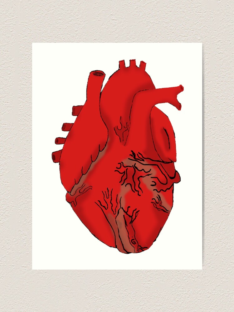 "Open Heart" Art Print for Sale by nischaynamdev | Redbubble