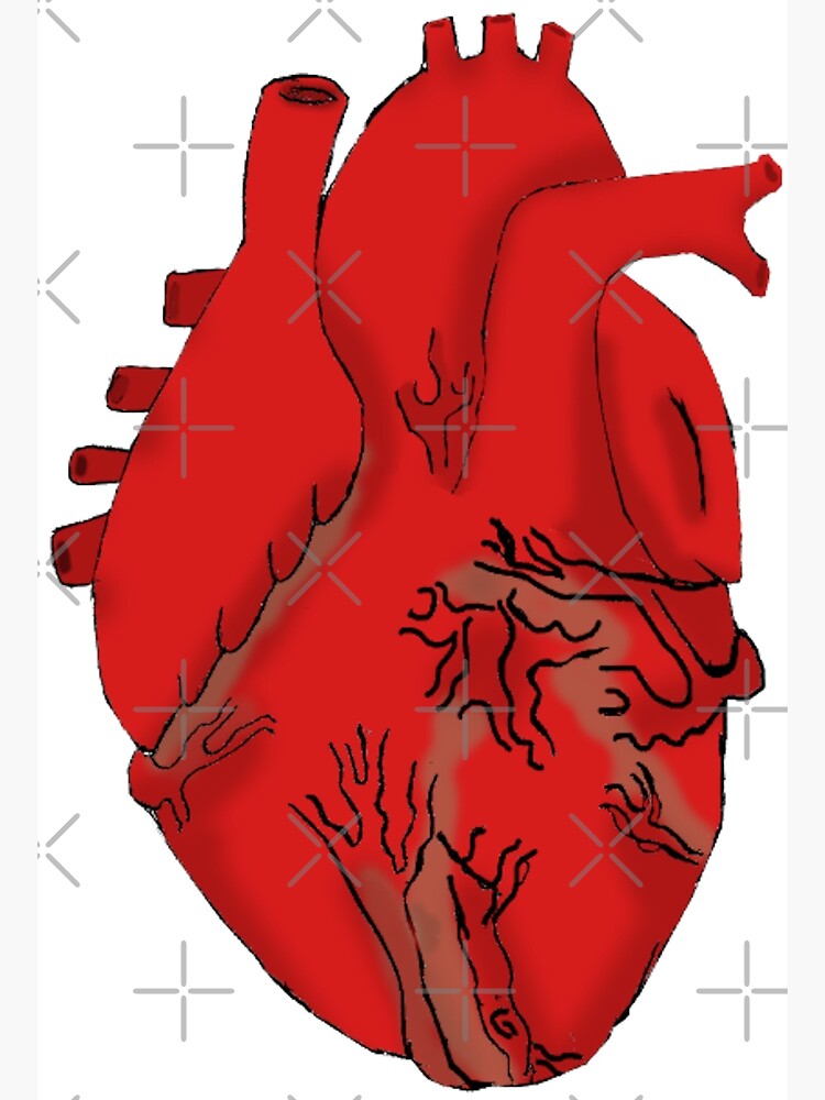 "Open Heart" Art Print for Sale by nischaynamdev | Redbubble