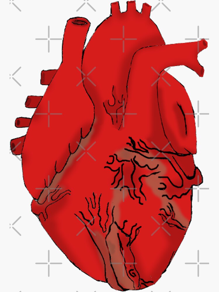"Open Heart" Sticker for Sale by nischaynamdev | Redbubble