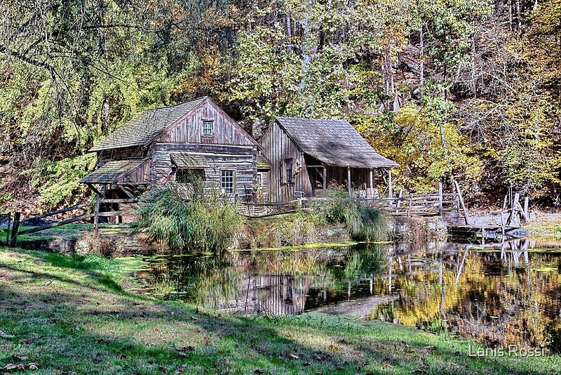 " Cuttalossa Farm" by Lanis Rossi | Redbubble