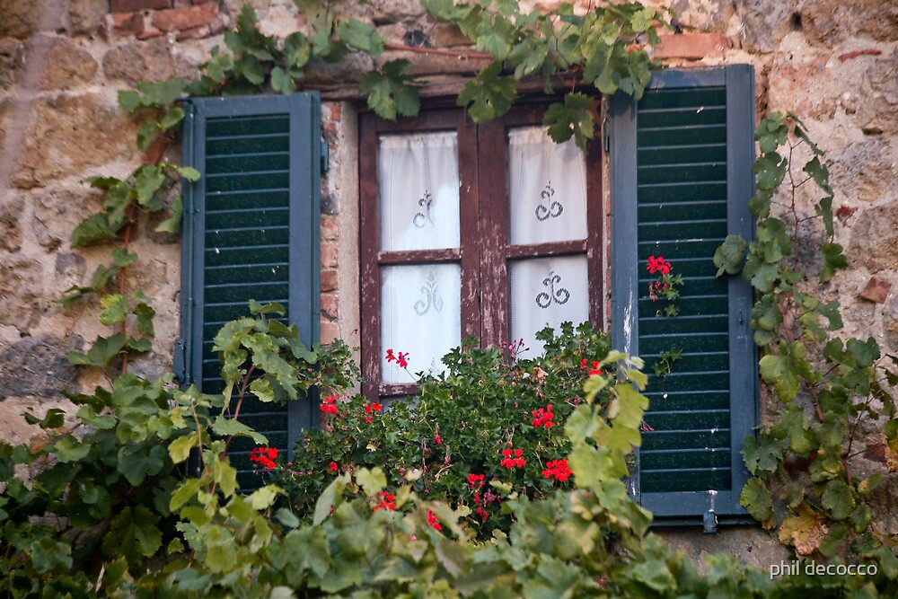 "Geranium Window And Shutters" by phil decocco | Redbubble