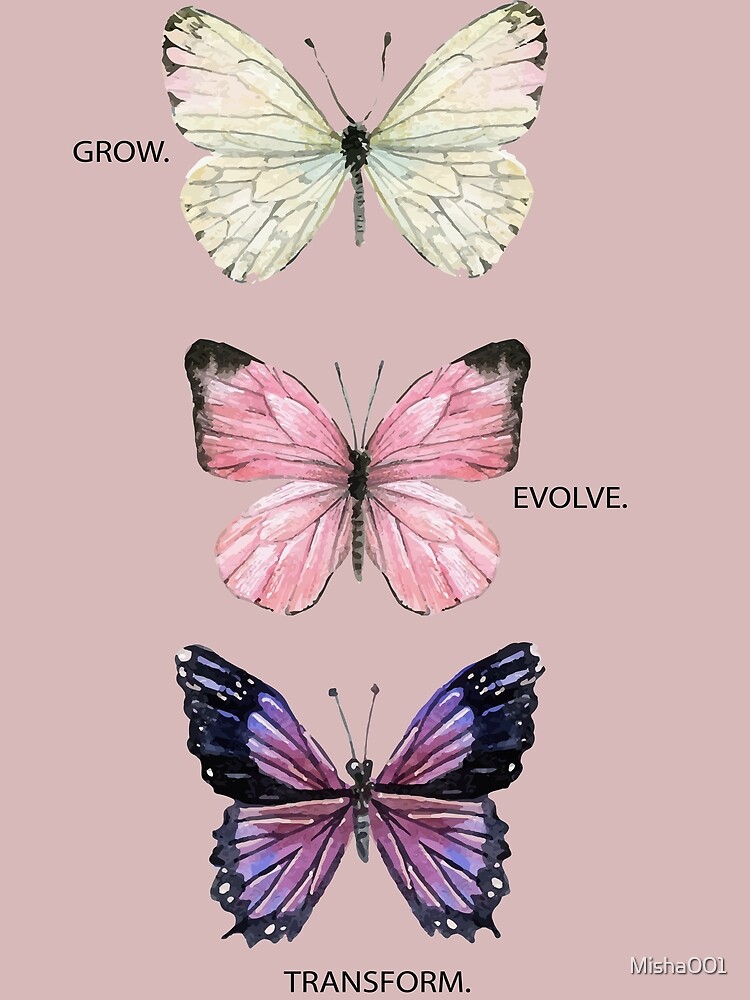 "The evolution of butterflies" Poster for Sale by Misha001 | Redbubble
