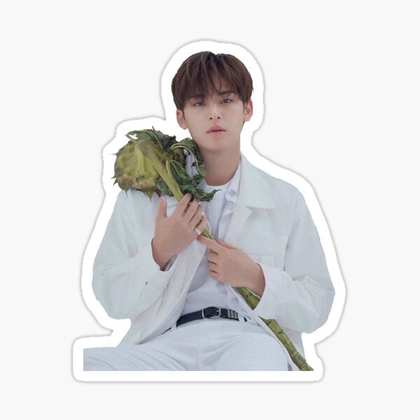 "kim mingyu - seventeen" Sticker for Sale by ccrispp | Redbubble
