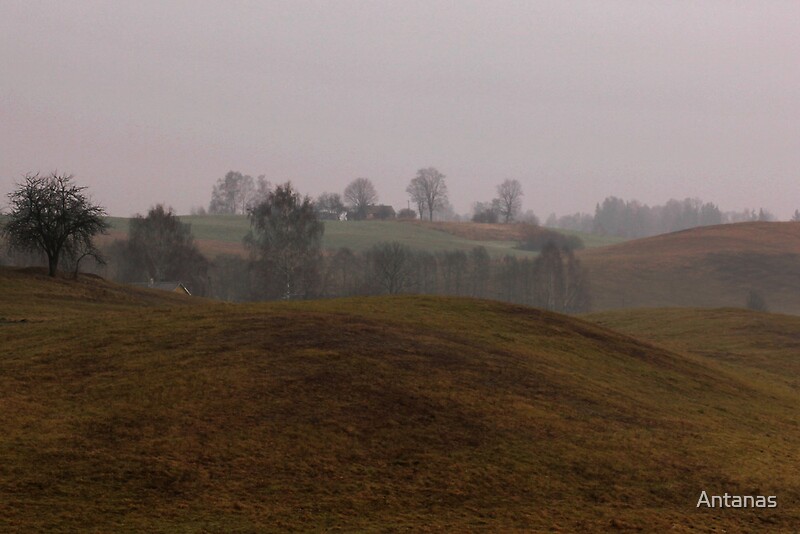 "Winter landscape without snow" by Antanas | Redbubble