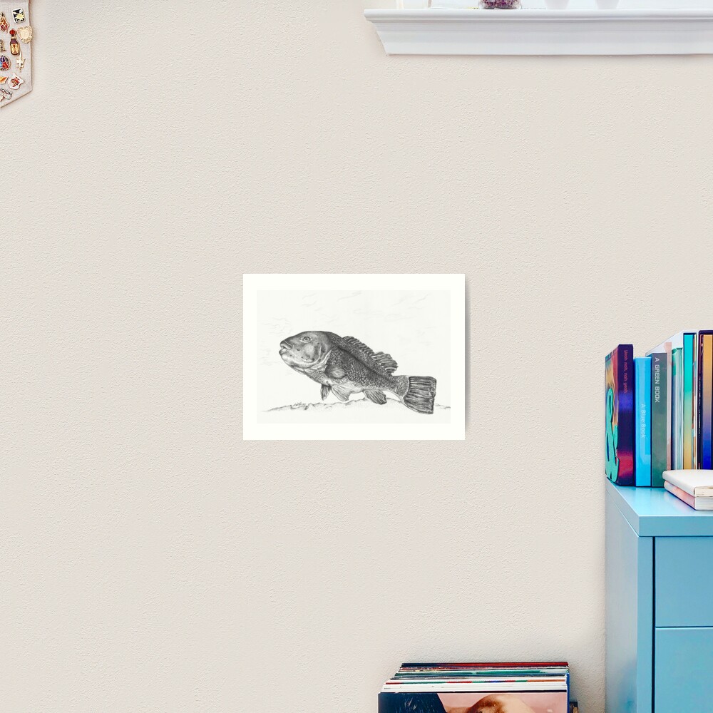 "Tautog" Art Print by ThomKat | Redbubble