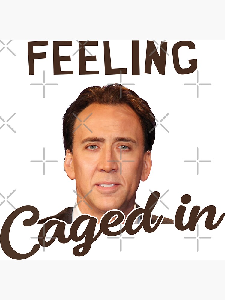 Nicolas Cage Meme Funny