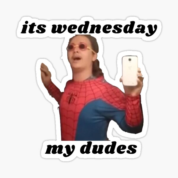 "Its Wednesday my dudes " Sticker for Sale by bearsilly | Redbubble