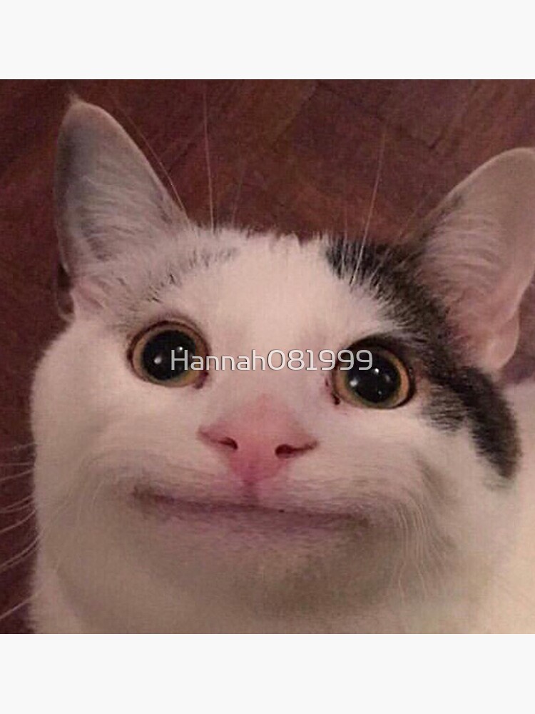 "smiling reaction cat meme" Sticker for Sale by Hannah081999 | Redbubble
