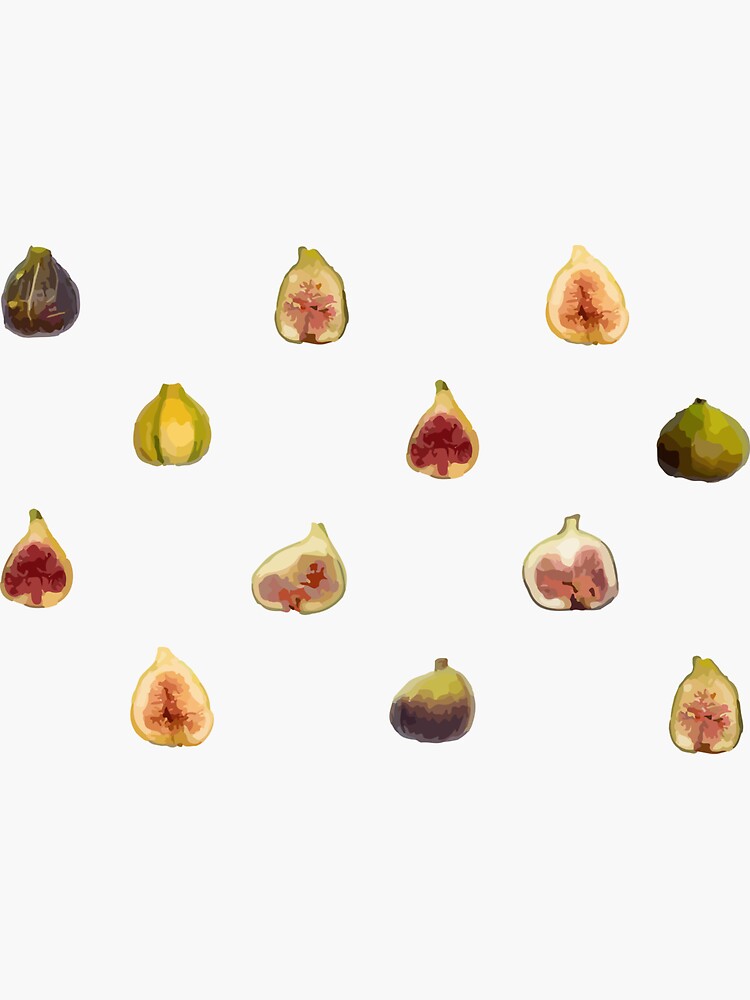 "Fig Stickers" Sticker by anniekwheeler | Redbubble