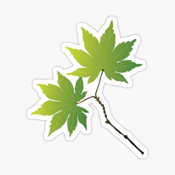 "Maple tree leaf" Sticker for Sale by OlgaKr | Redbubble