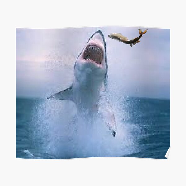 "Shark attacking fish in midair" Poster for Sale by Renz48 | Redbubble