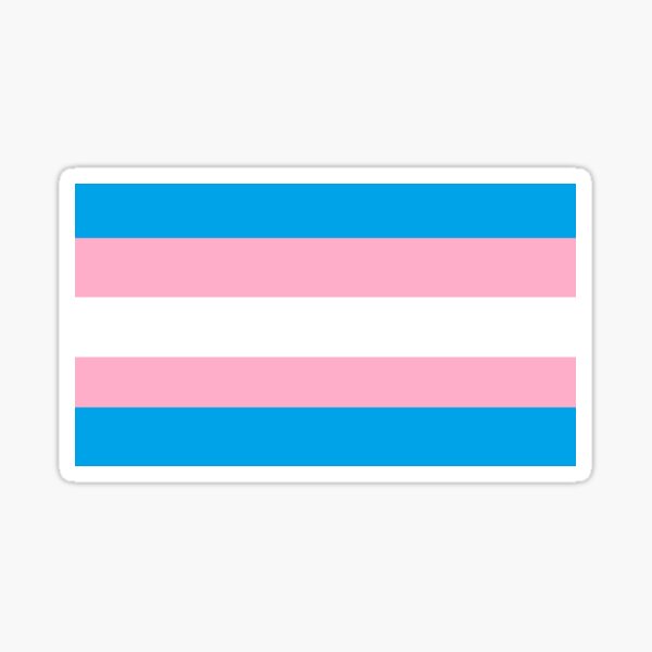 Trans Flag Stickers | Redbubble