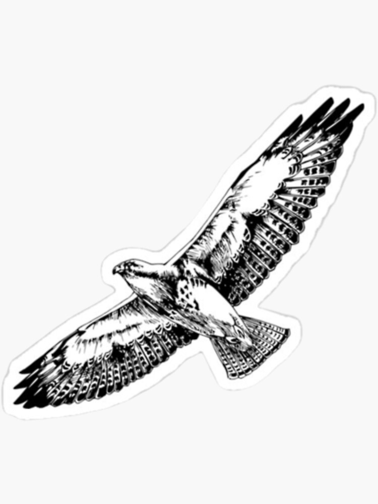 "Flying Hawk Birds Of Prey Sticker" Sticker for Sale by websaver ...