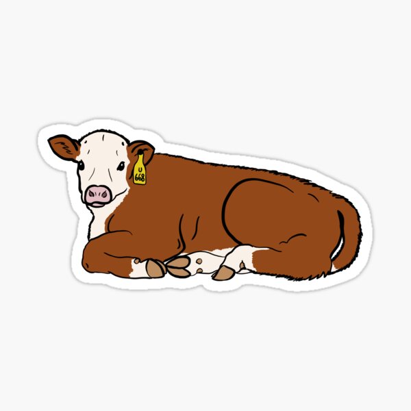 "Hereford calf, baby cow, calf, design, red and white" Sticker for Sale ...