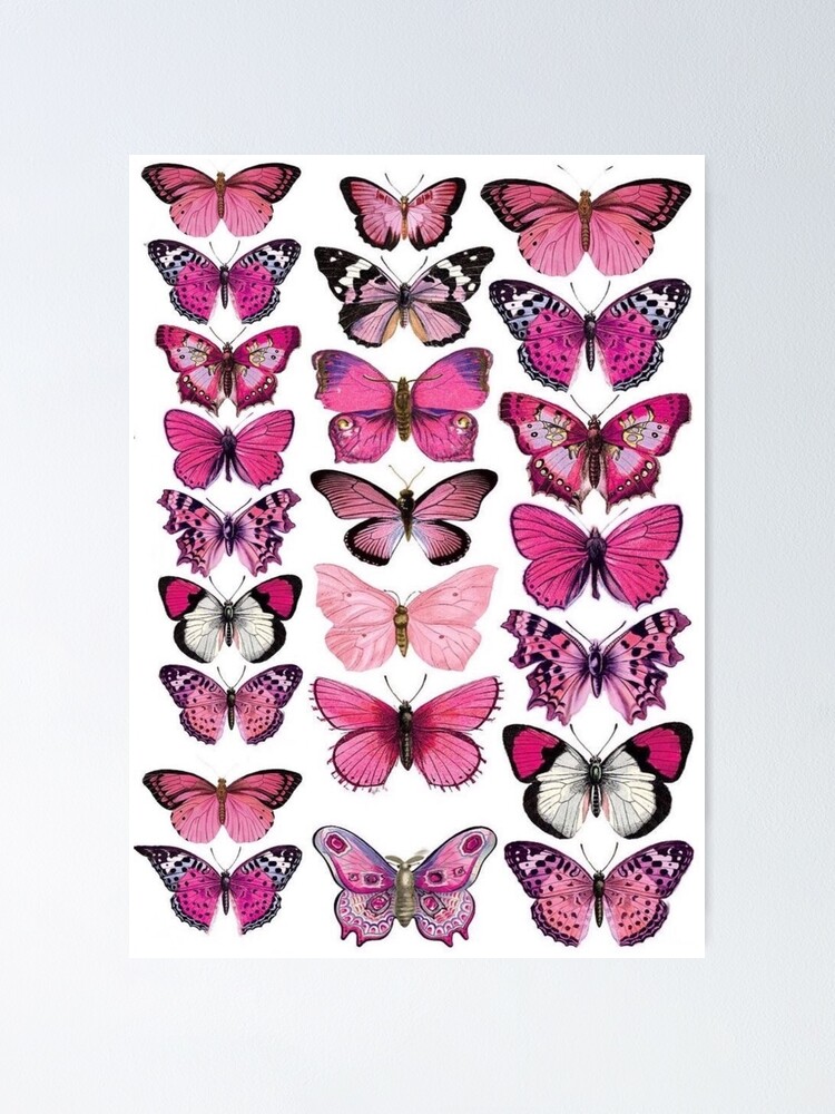 "pink butterfly" Poster for Sale by Bixchurse | Redbubble