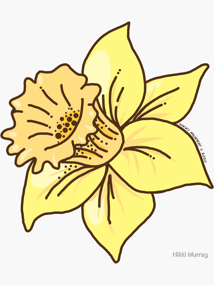 "Daffodil" Sticker for Sale by Nikki Murray | Redbubble