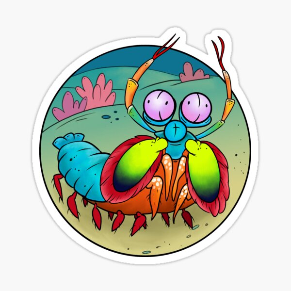"Mantis shrimp" Sticker for Sale by kk-art-stuff | Redbubble