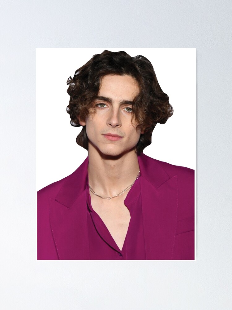 "Timothee Chalamet " Poster by rebeccaeleon | Redbubble