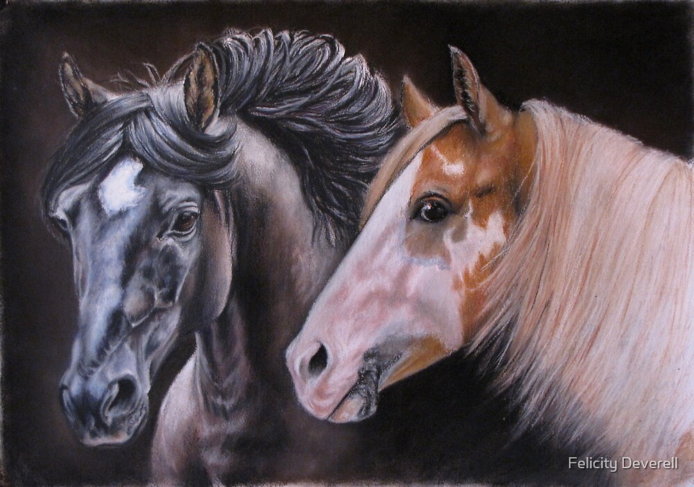 "Portrait of two Stallions" by Felicity Deverell | Redbubble