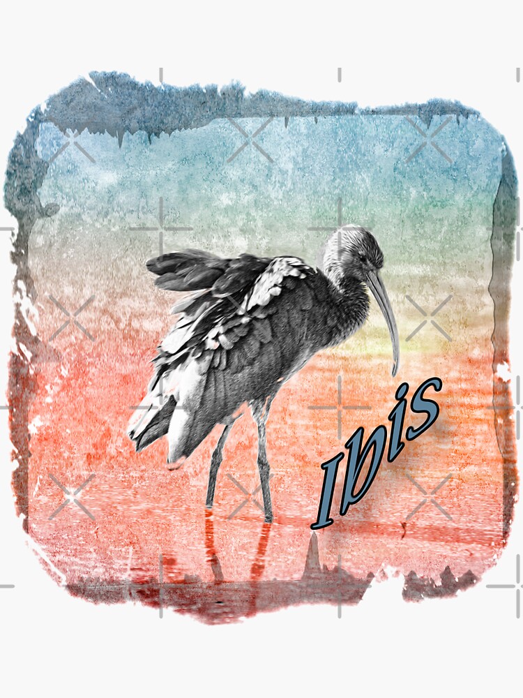 "Ibis" Sticker for Sale by CarolM | Redbubble