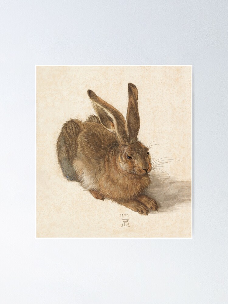"Durer Young Hare 1502" Poster for Sale by dianegaddis | Redbubble