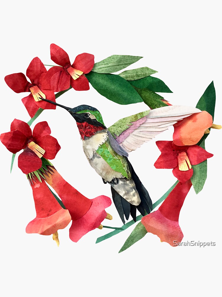 "Trumpet Flower Hummingbird" Sticker by SarahSnippets | Redbubble
