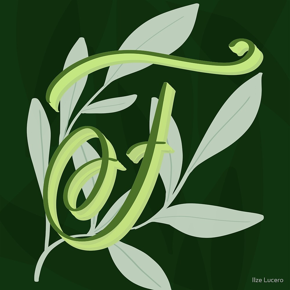"F - creative monogram scripted lettering of letter f" by Ilze Lucero ...