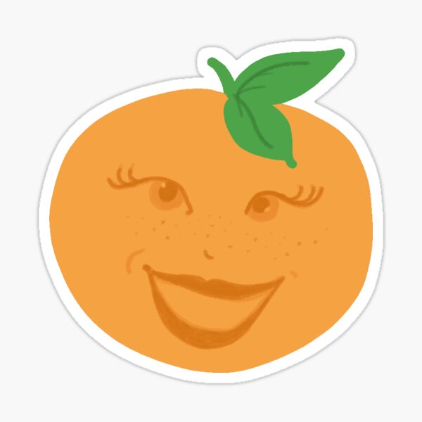 Annoying Orange Stickers | Redbubble