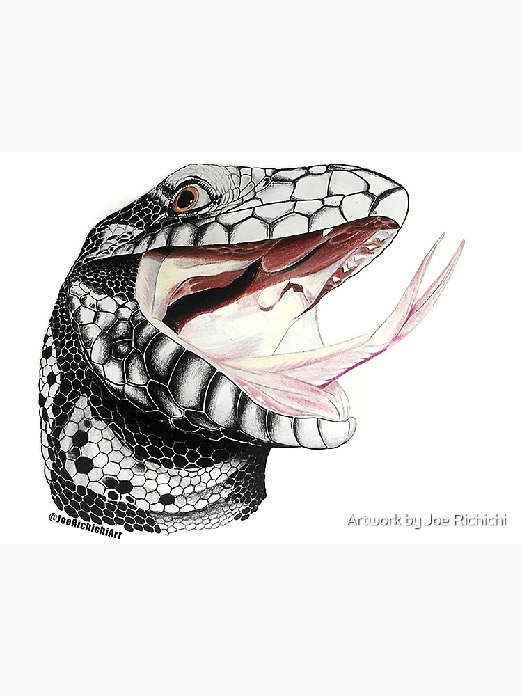 "Argentine Tegu" Art Print for Sale by Artworkbyjoe | Redbubble
