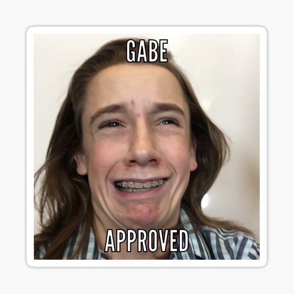 "Gabe Approved" Sticker for Sale by gabedegraeve | Redbubble