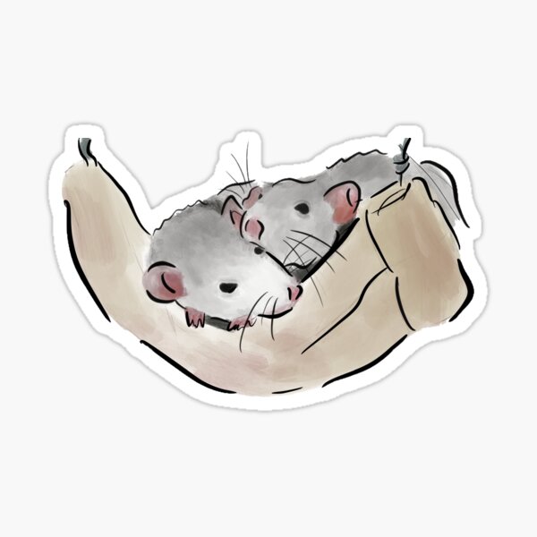 "Cute Rats" Sticker for Sale by aimeetregunno | Redbubble