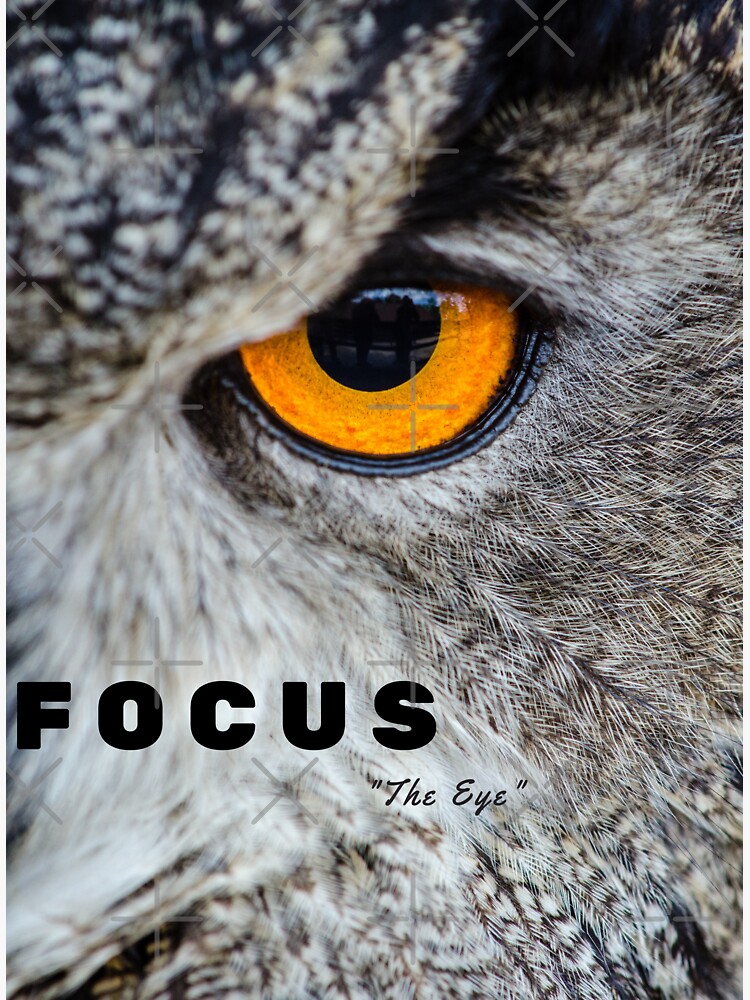 "Focus Eagle Owl Eye" Sticker for Sale by Salazarus | Redbubble