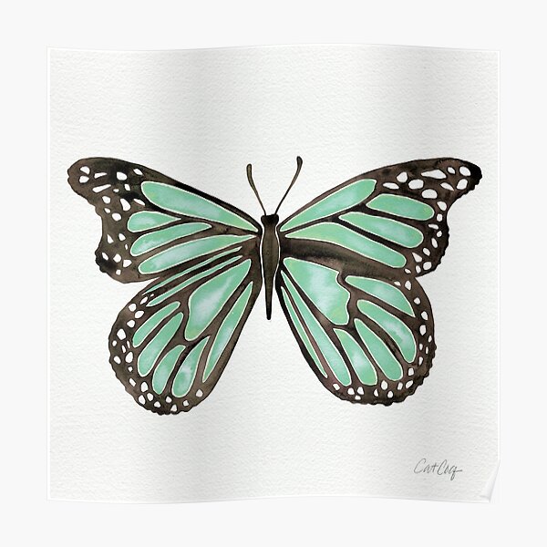 "Mint Butterfly" Poster for Sale by catcoq | Redbubble