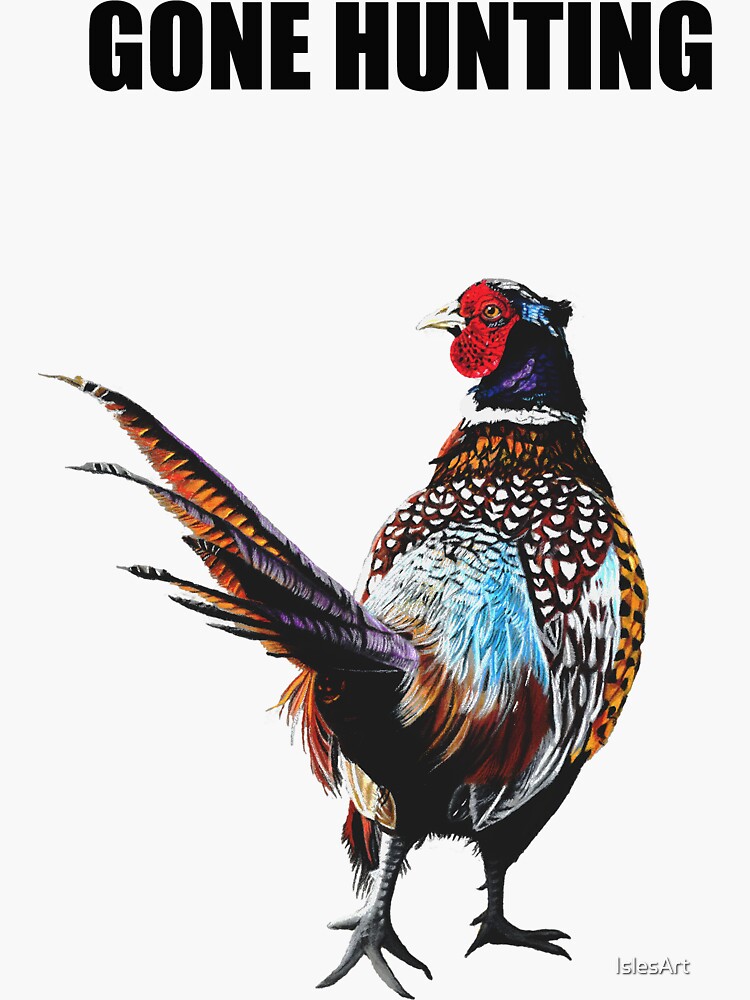 "GONE HUNTING Pheasant range - pheasant hunting- pheasant shooting ...