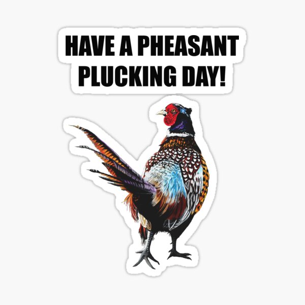 "HAVE A PHEASANT PLUCKING DAY fun slogan on a colourful pheasant design" Sticker for Sale by ...