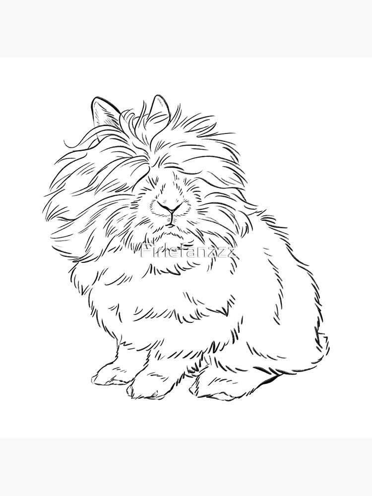 "Angora rabbit" Poster by Firlefanzzz | Redbubble