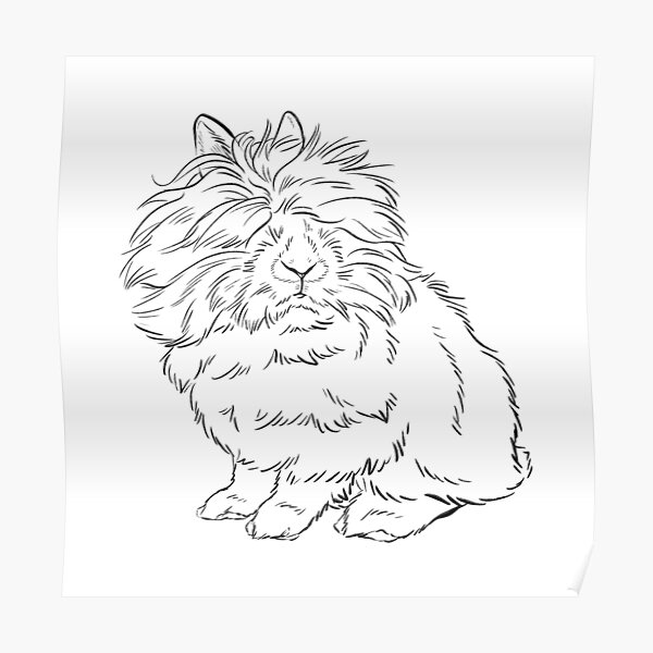 "Angora rabbit" Poster by Firlefanzzz | Redbubble