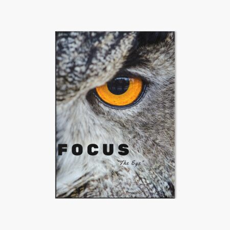 "Focus Eagle Owl Eye" Art Board Print for Sale by Salazarus | Redbubble