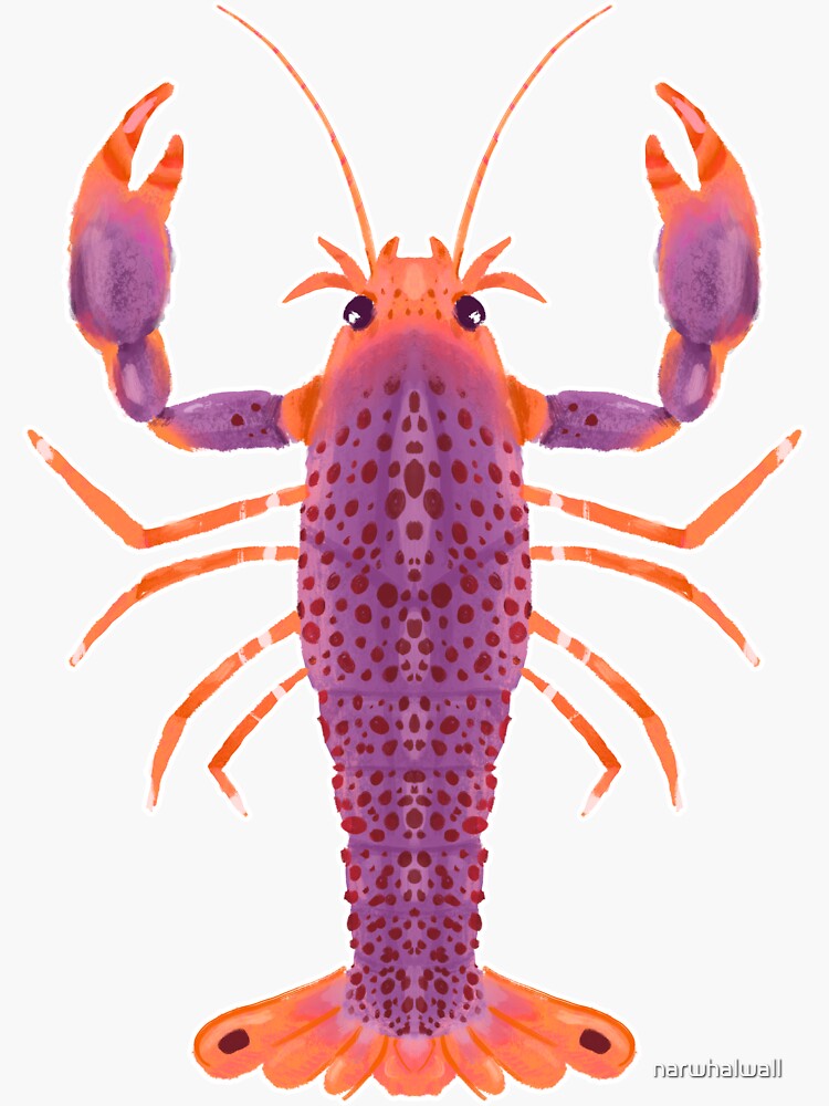 "Radical Purple and Orange Reef Lobster" Sticker for Sale by ...