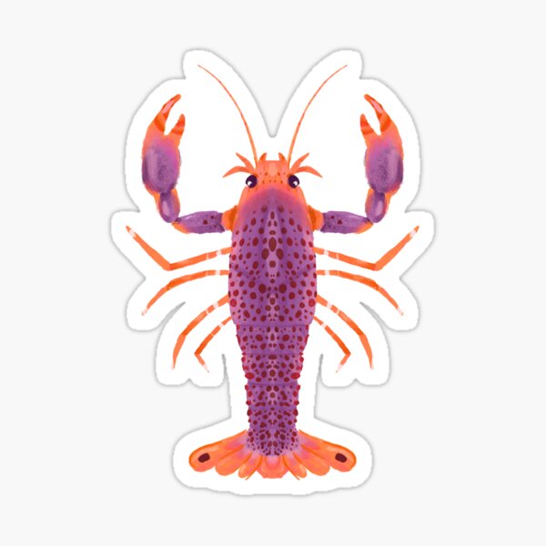 "Radical Purple and Orange Reef Lobster" Sticker for Sale by ...