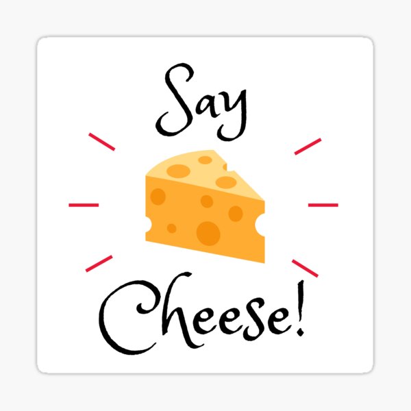 "Say Cheese!" Sticker for Sale by toia29483 | Redbubble