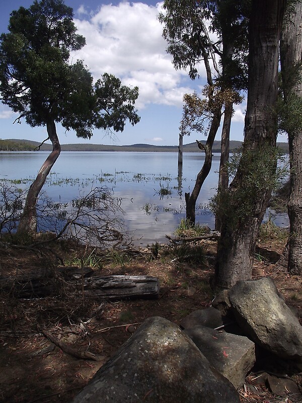 "Tooms Lake (Tasmania) - tranquillity" by Gaylene Norton | Redbubble