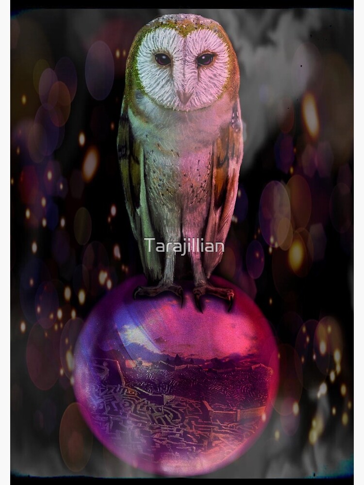 "Labyrinth owl" Spiral Notebook for Sale by Tarajillian | Redbubble