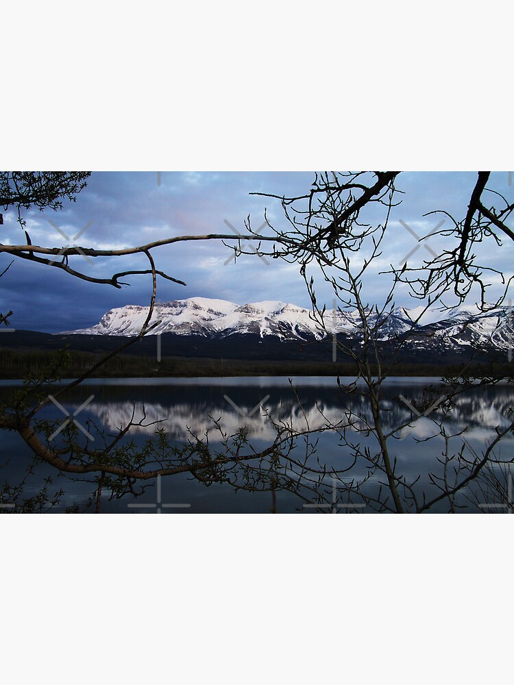 "A Perfect Frame" Poster for Sale by alycetaylor | Redbubble