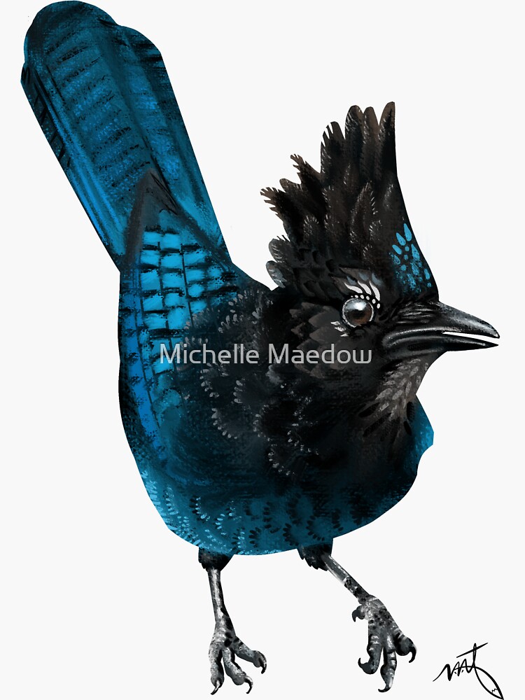 "Steller's Jay" Sticker for Sale by motribbz | Redbubble