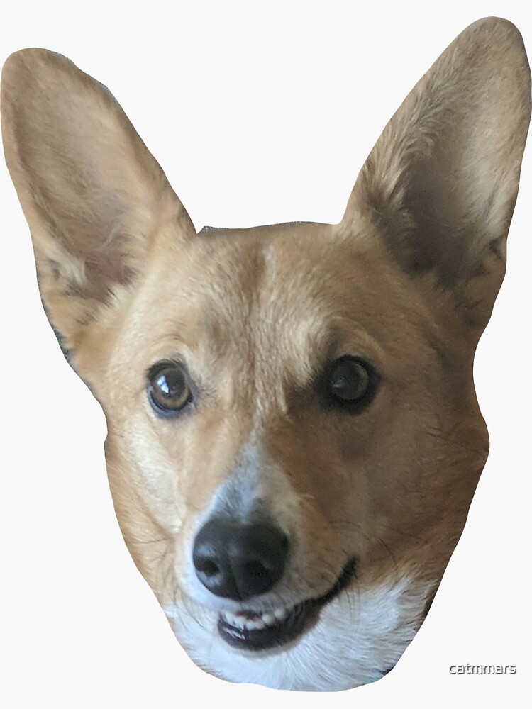 "Corgi Face" Sticker by catmmars | Redbubble