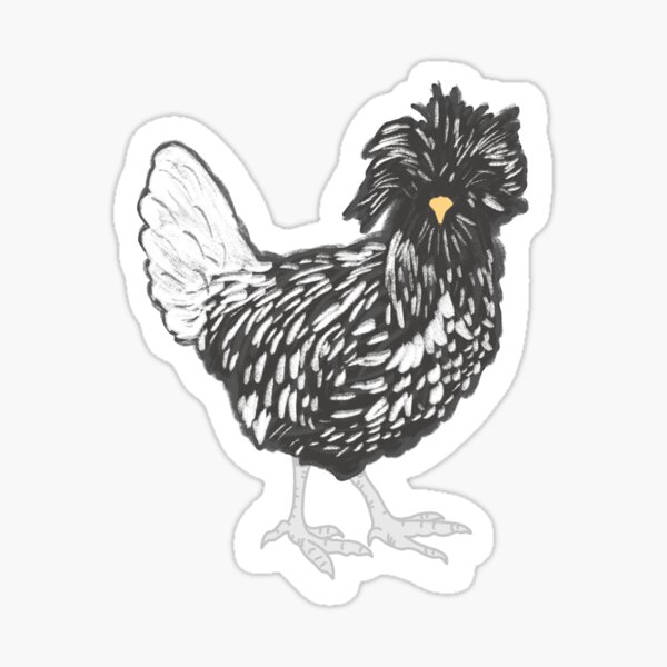 "Polish chicken sticker" Sticker for Sale by Stringsleadhome | Redbubble
