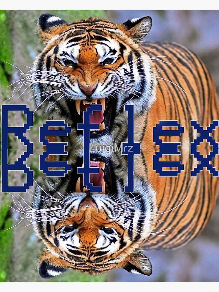 "Reflex" Sticker for Sale by LuigiMrz | Redbubble